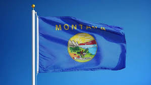 Flag of Montana | Custom Flag Art